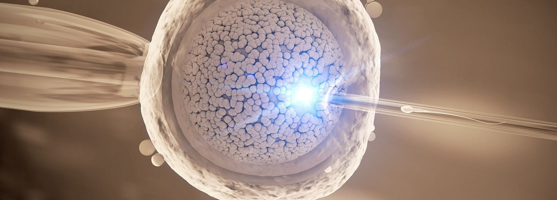 EmbryoScope® Time-lapse: revolución en tratamiento de fertilidad
