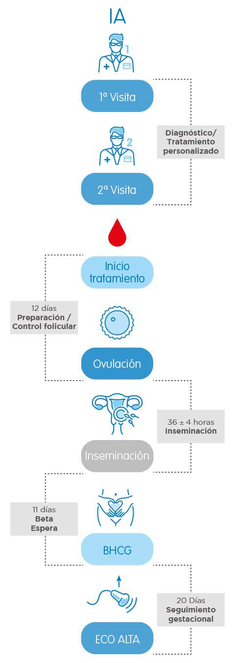 ¿Qué es la Inseminación Artificial (IA)?