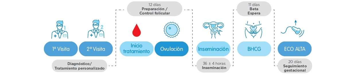¿Qué es la Inseminación Artificial (IA)?