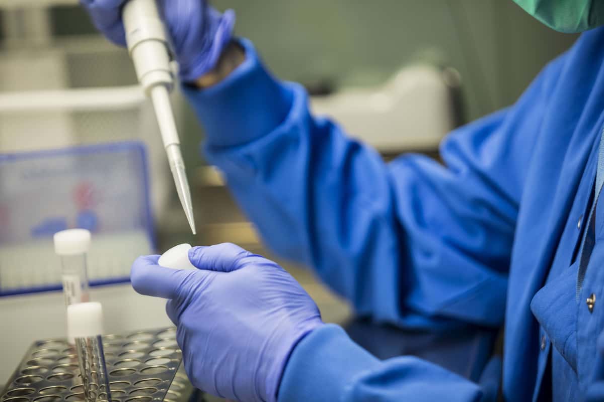¿Qué es la Inseminación Artificial (IA)?